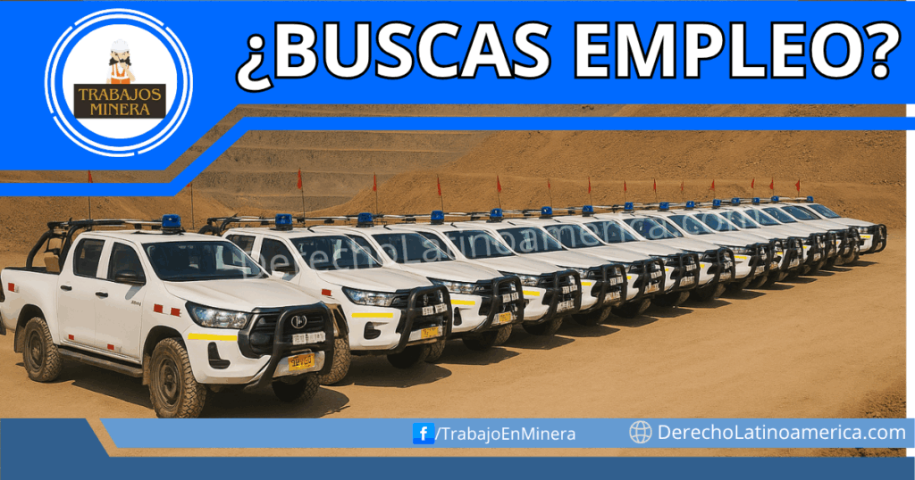 Se necesita Conductor de Vehículo A1